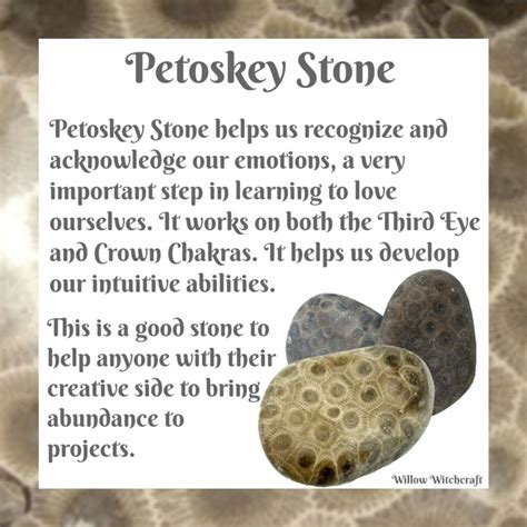 What Is A Petoskey Stone And The Best Place To Find Them Artofit