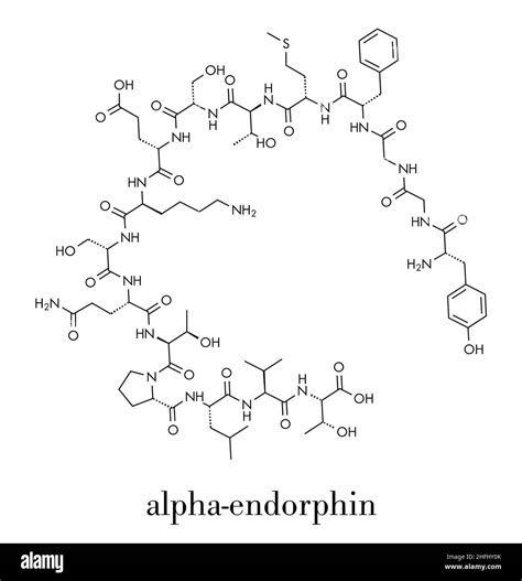 Endorphin Chemical Structure