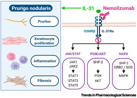 Nemolizumab Nemluvio® For Prurigo Nodularis Trends In