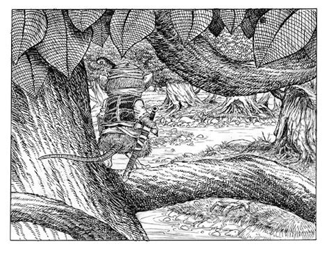 5 Questions For Aaron Pocock Parka Blogs