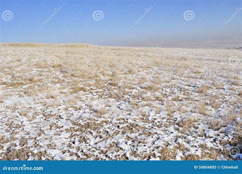 Winter Grassland In Inner Mongolia Stock Image Image Of Climate