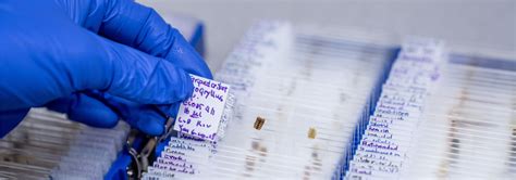 Seminars Department Of Biological Sciences Vanderbilt University