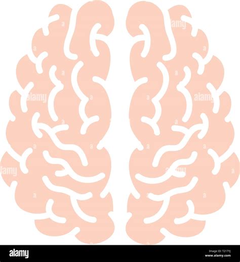 Brain Medicine Innovation Stock Vector Images Alamy
