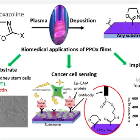 Summary Of Ppox Biomedical Applications Download Scientific Diagram