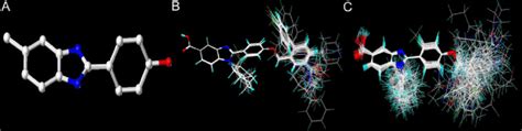 Molecular Alignment A The Common Structure Used For Alignment B