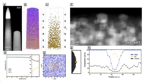Correlative Scanning Transmission Electron Microscopy Atom Probe Download Scientific Diagram