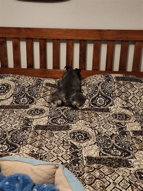 Peep Sweetpea Pouting R Aww