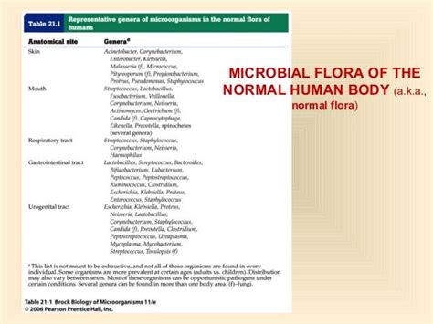 Host Pathogen Interactions