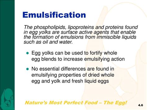 Ppt Eggs As A Functional Emulsifier Powerpoint Presentation Free