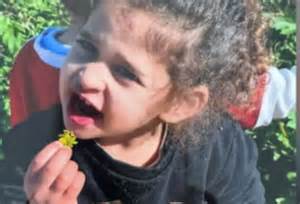 לבד בשבי אביגיל עידן מציינת יום הולדת 4 בעזה חדשות מעריב