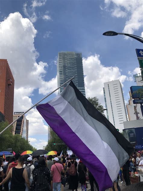 ¿qué Es La Asexualidad O Ser Asexual Y Cuál Es Su Bandera