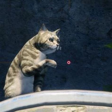 Fabiola Ponce Youtube