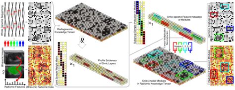 The Schematic Diagram Of Our Proposed Omics To Omics Joint Knowledge Download Scientific