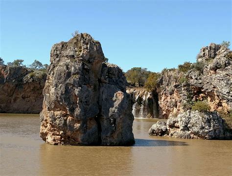 Vanishing Texas River Cruise The Hill Countrys Premiere Ecological Tour