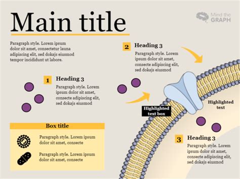 Cell Membrane3 Infographic Templates