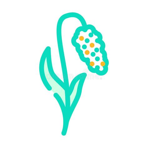 Millet Plant Food Color Icon Vector Illustration Stock Vector Illustration Of Rice Organic