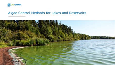 Algae Control Methods Ppt