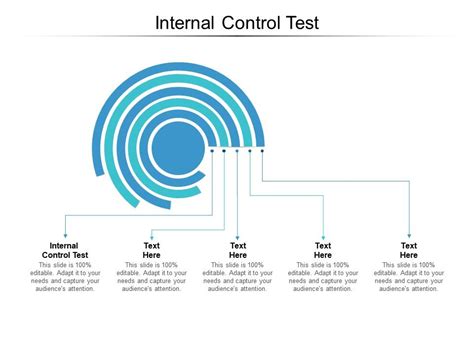 Internal Control Test Ppt Powerpoint Presentation Icon Background Image