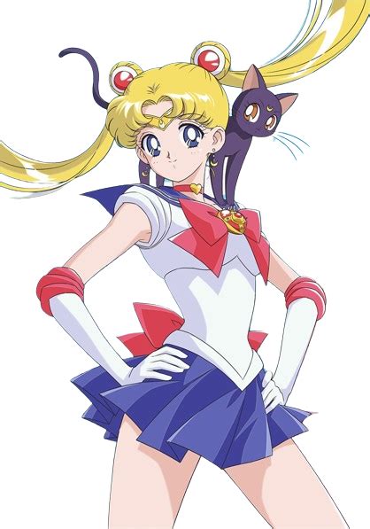 Sailor Moon And Luna Png By Alexthehedgehoggamer On Deviantart