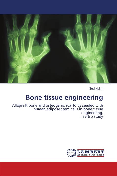 bone tissue engineering 978 3 8383 0203 4 9783838302034 3838302036