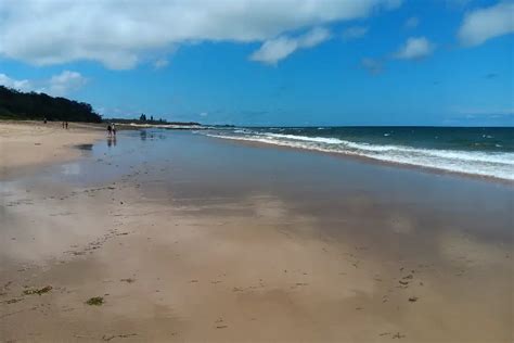 Dicky Beach Best Visitors Guide 2026 Updated