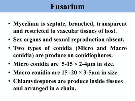 Classification And Diagnostic Charecterstics Of Main Plant Pathogenic