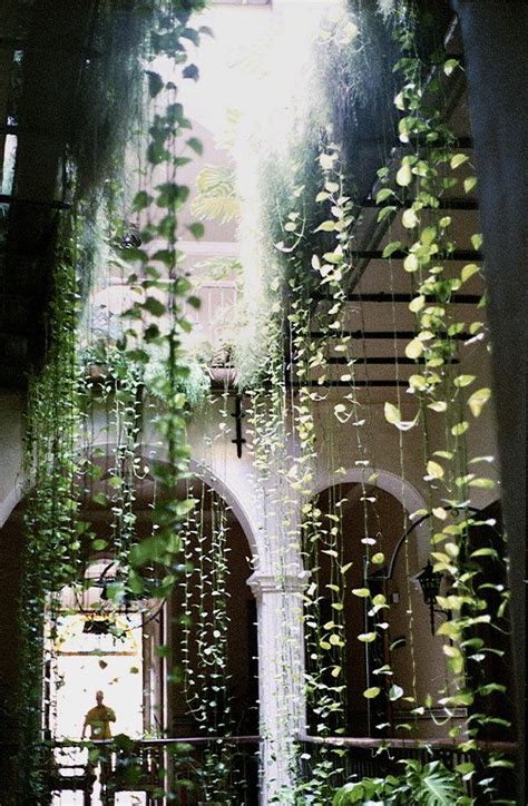 Jardines Colgantes Para Tu Hogar Jardines Colgantes Jardines Plantas Interiores