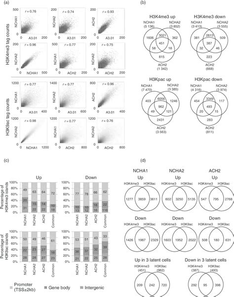 Identification Of Differentially Enriched Histone Modification Islands