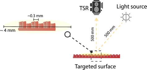 Schematic Diagram Of The Measurement Setup Using A Download