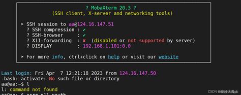 Mobaxterm出现x11 Forwarding Disabled Or Not Supported By Server 及conda Command Not Found等问题