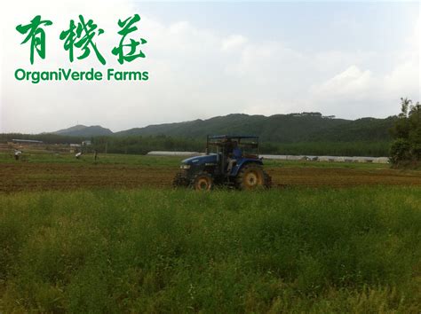 修复水稻田土壤污染