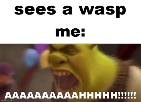 Fun Wasp Memes And S Imgflip