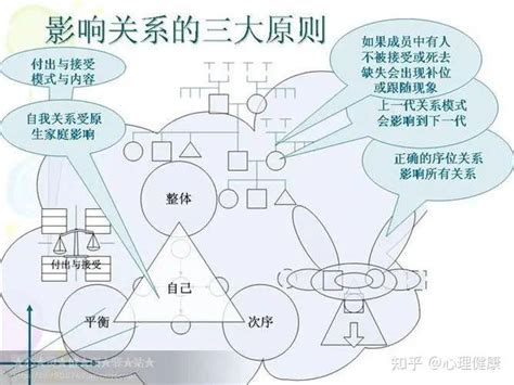 家族系统排列中关系图解 知乎