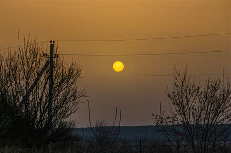 스모그 속의 일출 많은 먼지와 연기 안개 나무와 가공 전력선 0명에 대한 스톡 사진 및 기타 이미지 0명 기둥 나무