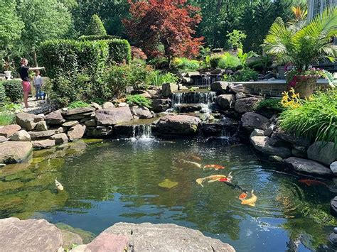 What Is The Best Pond Depth For Different Pond Types