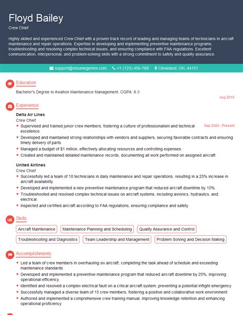Crew Chief Resume Template Resumegemini Online Resume Builder