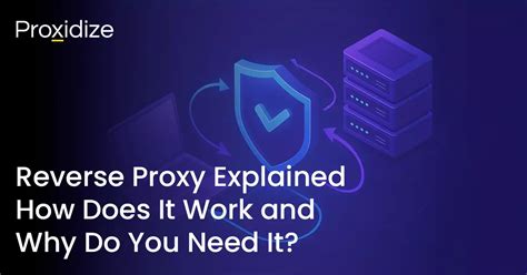 Reverse Proxy Explained How Does It Work And Why Do You Need It Proxidize