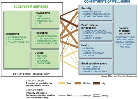 Ecosystem Services As Defined By The Millenium Ecosystem Assessment