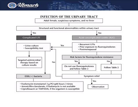 Infection Of The Urinary Tract Algorithm Ppt