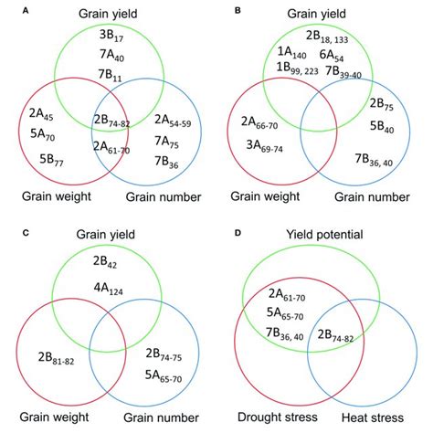 Comparison Of The Significant Marker Trait Associations Mtas For Download Scientific