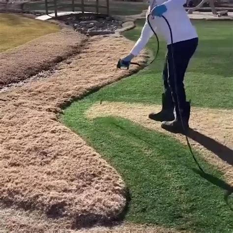 Homemade Quack Grass Killer Artofit