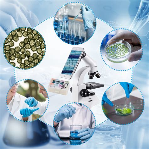 100x 2000x Microscope For Adults Professional