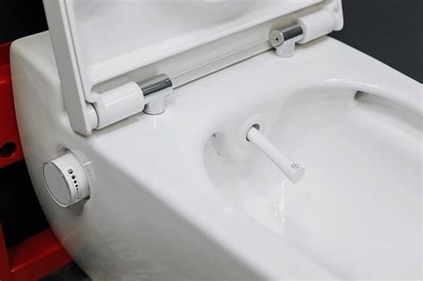 수동 제어 비데와 변기 그릇 변기에서 물 스프레이 이 비데 스타일의 화장실의 사용자의 항문정화를 위해 설계된 깨끗한 물 비데에