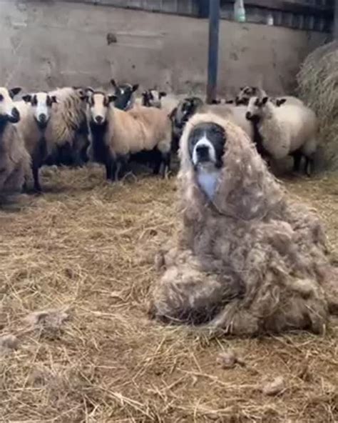 Mohan Jayagopal On Linkedin Funny