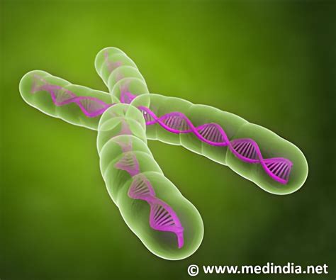 Identifying Hidden Structures In The Human Genome