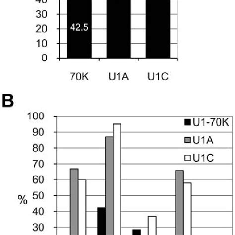 Quantification Of Nuclear Patterns Shown In Figure 3 Transformations