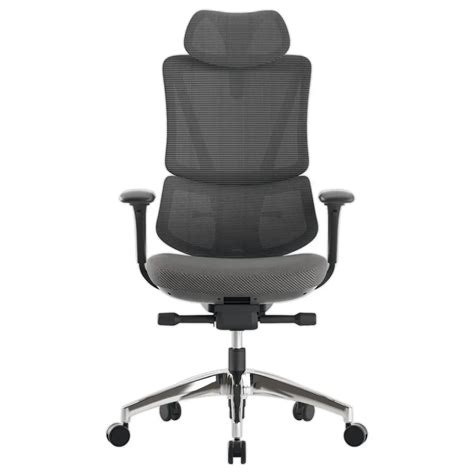 Siège Gost Synchrone Tétiere Accot Soutien Lombaire Noir Résille