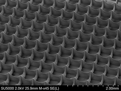 Newtonian And Non Newtonian Fluids Biotrib Biotrib