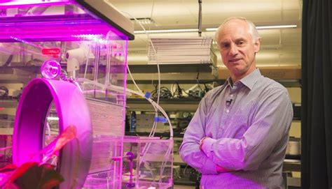 Klaus Lackner Photos News And Videos Trivia And Quotes Famousfix