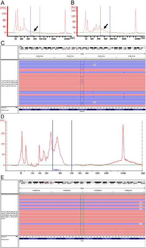 Library Yield Of Targeted Ngs Library Prepared By Using Ds1 Based Dna